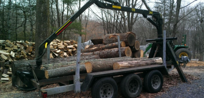 Tree Removal - Jim Goucher Jr Tree Service